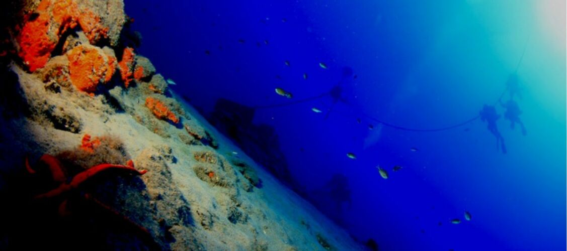 ANDI International - Educational Agency for Hyperbarics + Diving