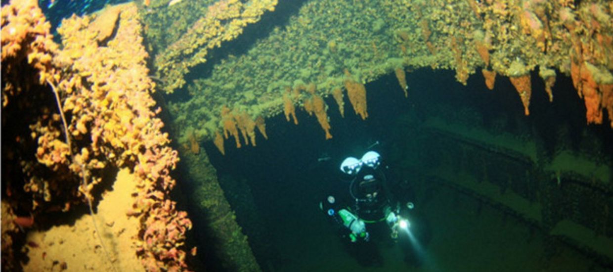 ANDI International - Educational Agency for Hyperbarics + Diving