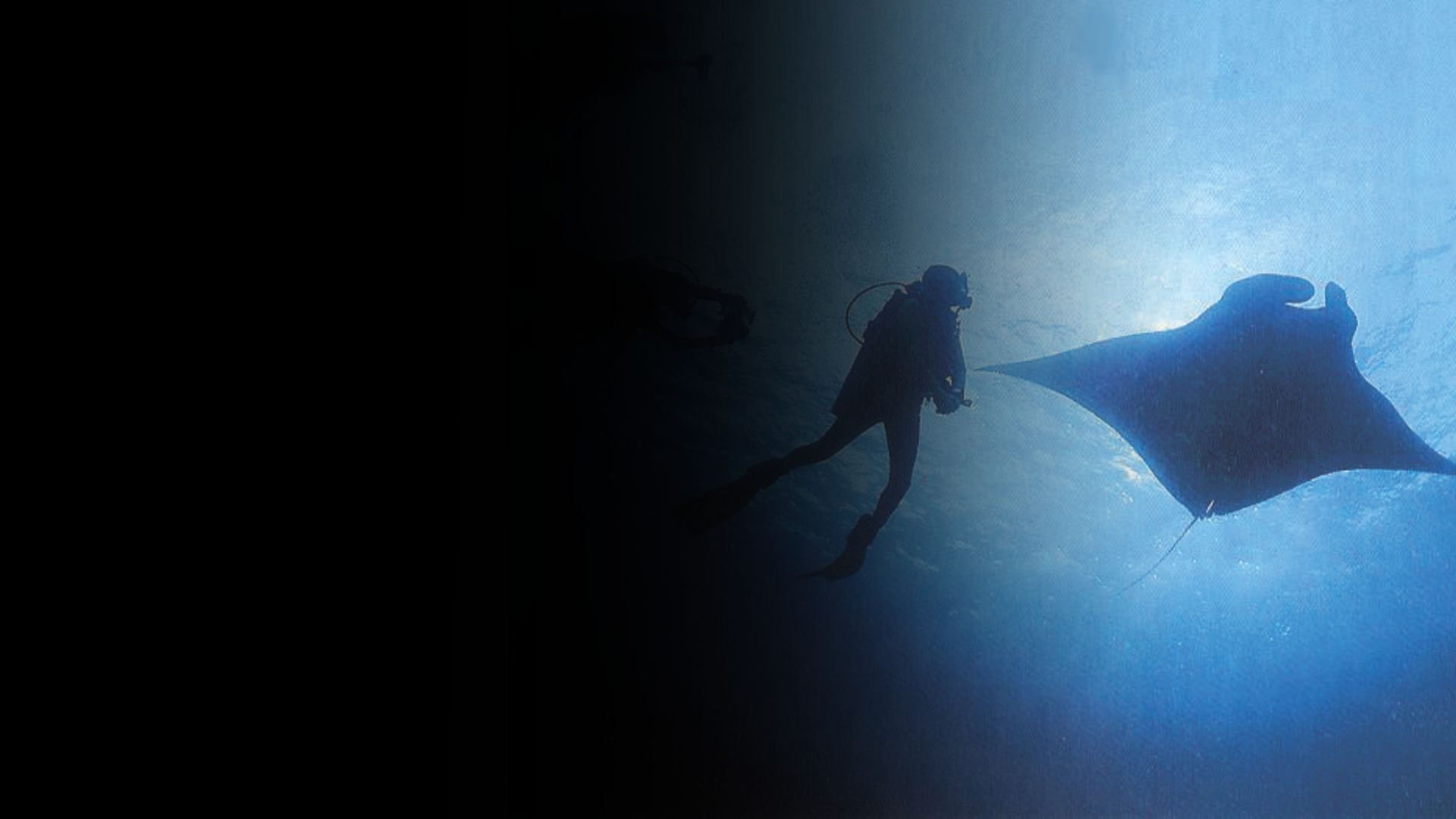 ANDI International - Educational Agency for Hyperbarics + Diving