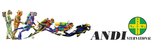 Flow Charts - ANDI International